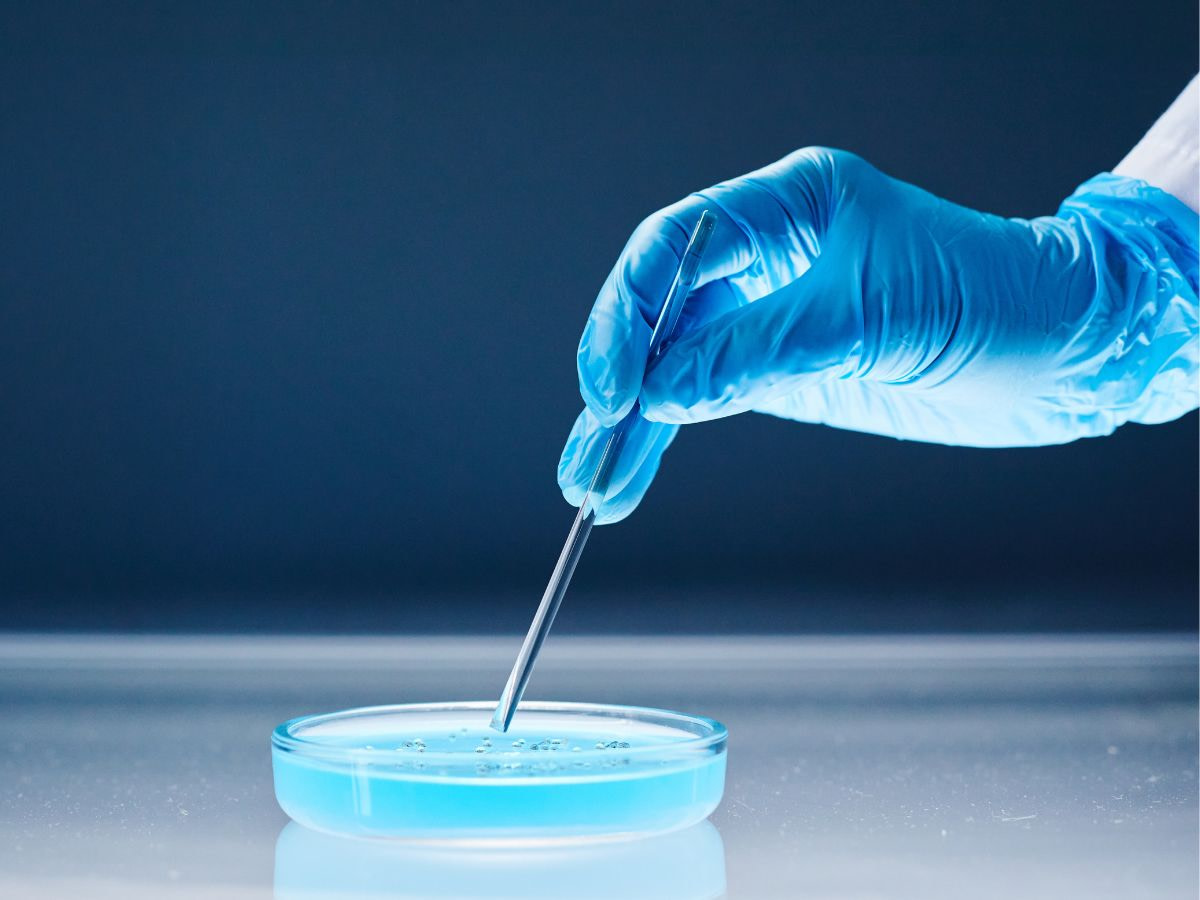 Antibioottien kehitys alkoi nenästä – Missä nyt mennään? - Kemia-lehti