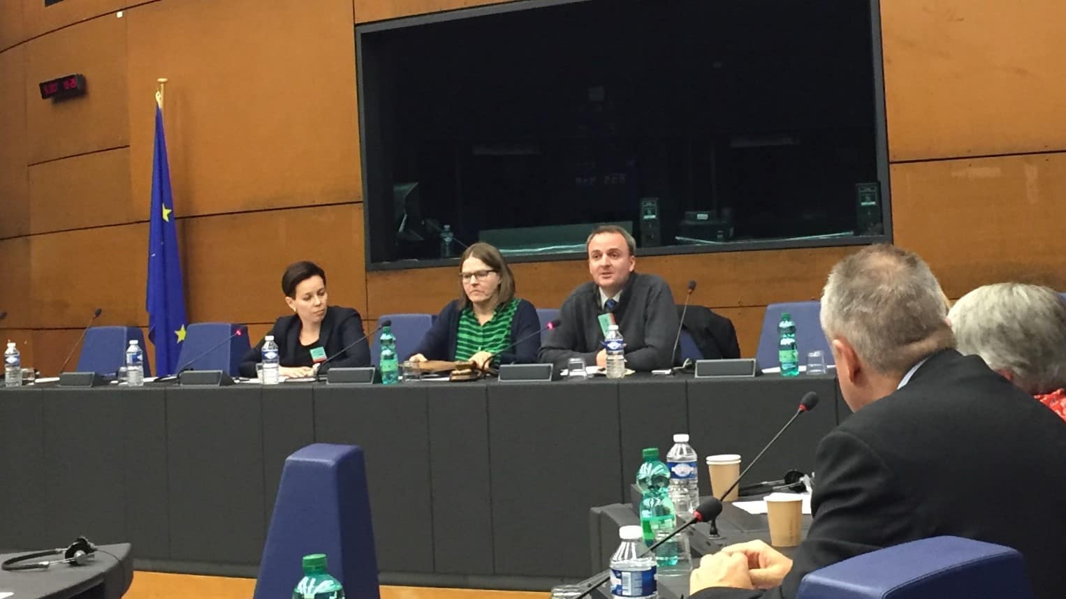 The case of Andy Hall got a just conclusion - Heidi Hautala