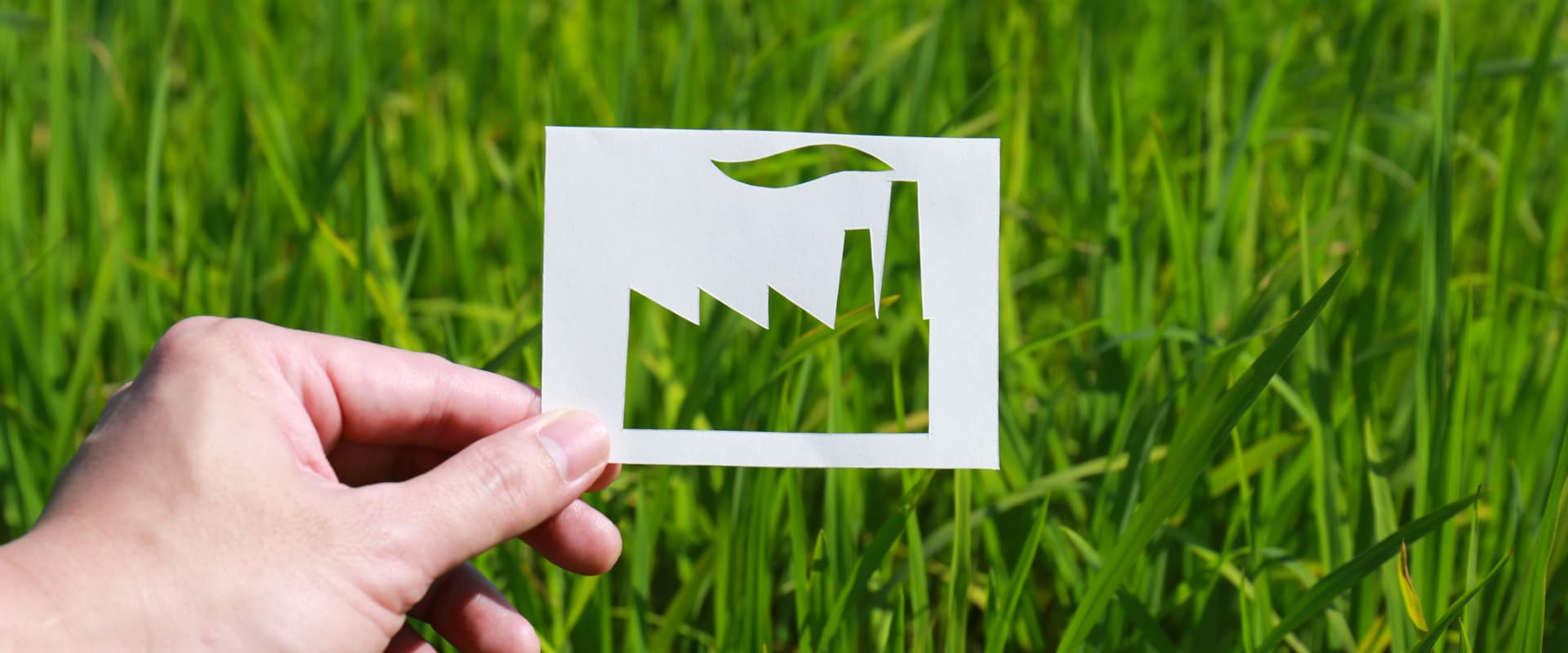 Punching Coils - Pivatic